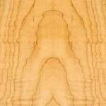 Wood Countertop Species - Grothouse